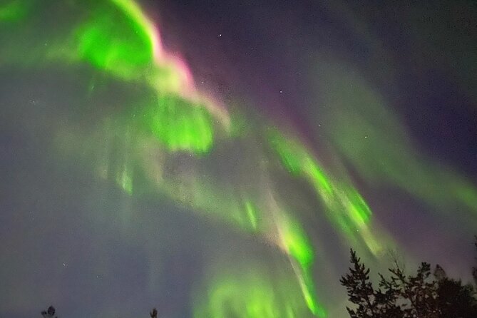 Husky Sled Ride Northern Lights Tour from Kiruna - Key Points