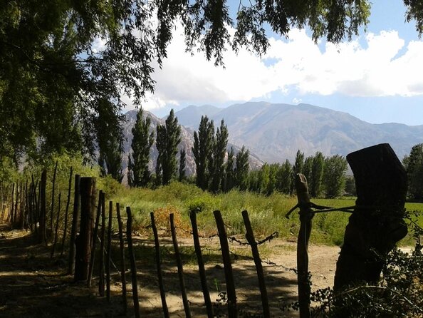Inca Lagoon in Andes Mountain Range - Visit Local Vineyard with Tasting included - Starting from Santiago