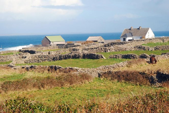 Inis Mór (Aran Islands) Day Trip: Return Ferry from Rossaveel, Galway - The Itinerary: A Day on Inishmore Made Simple