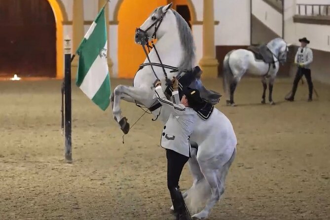 Jerez & Cadiz Winery with Tasting & Opt Horse Show from Seville - Key Points: