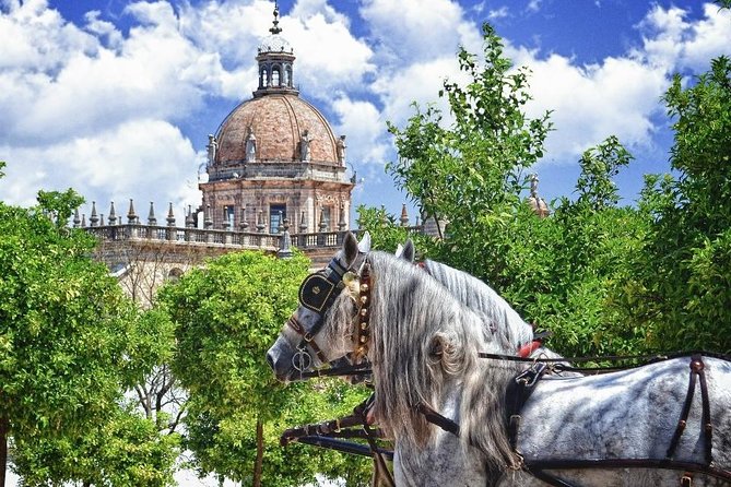 Jerez de la Frontera History and Art Walking Tour - Key Points