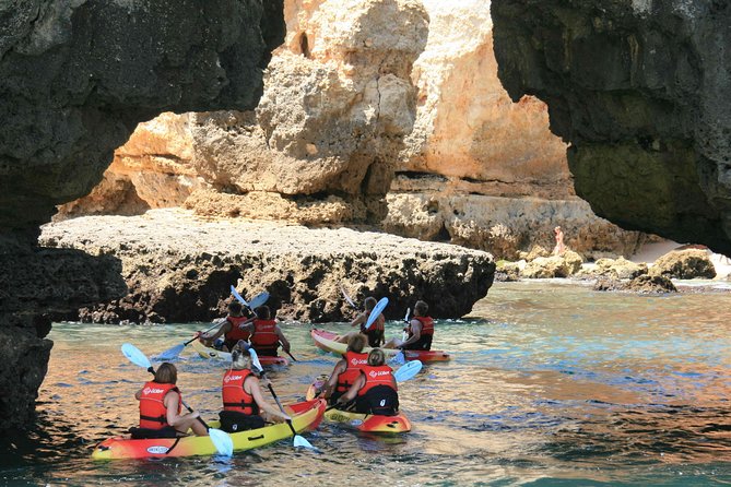 Kayak 2H30 Grottos Ponta da Piedade - Lagos - Discover Lagos from the Water: A Full Review of the Kayak to Ponta da Piedade Grotto Tour