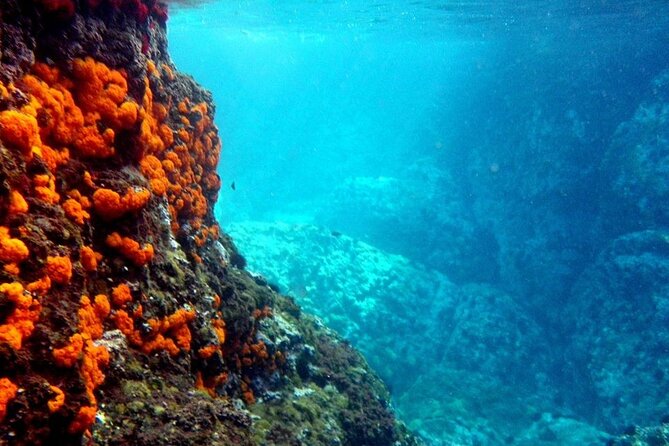 Kayak & Snorkel Tour in Cerro Gordo Natural Park, La Herradura - Key Points