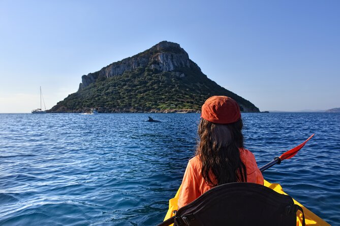 Kayak tour with aperitif and dolphins - Key Points