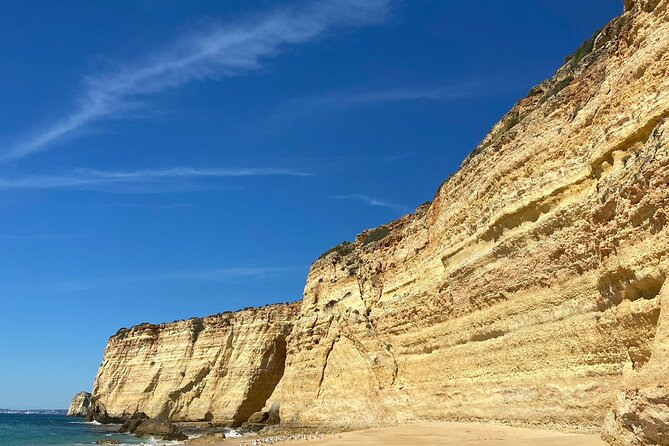 Kayak Tours with Amazing Caves, sea life and Marine Biologist . - Key Points