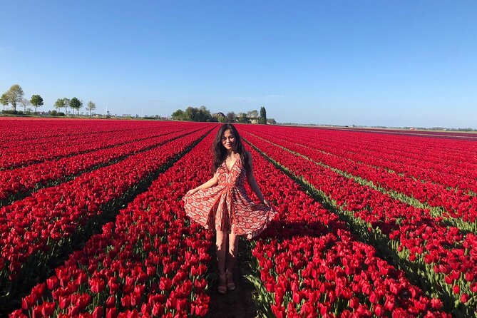 Keukenhof Gardens and Delft Guided Tour from Amsterdam - Experience the Charm of the Netherlands: Keukenhof and Delft Guided Tour