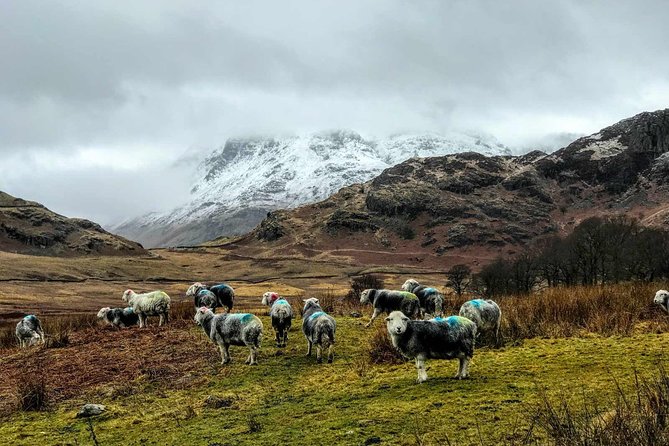 Lake District Adventure Sightseeing Day Trip from Liverpool - Discover the Lake District with Confidence: A Practical Review of the Liverpool Day Trip