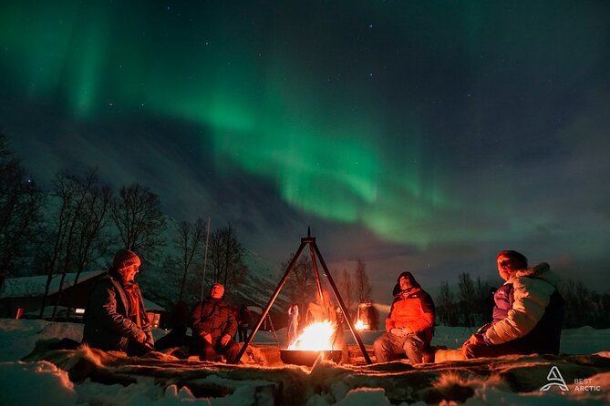Lapland Northern Lights Tour from Tromso - Introduction