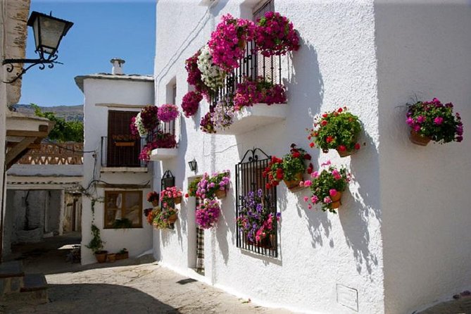 Las Alpujarras Full-Day Tour with Optional Lunch from Granada - Key Points