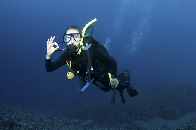 Lets Go Diving with pickup from hotel - Exploring the Lets Go Diving Experience in Kos