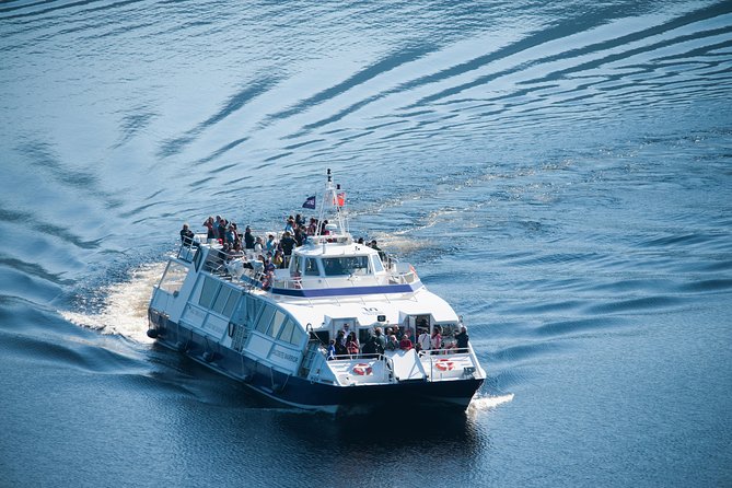 Loch Ness 1-Hour Cruise with Urquhart Castle Views - The Itinerary: What You’ll Experience
