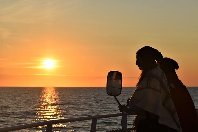 Magical Whales in the Midnight Sun | from Reykjavik - Key Points