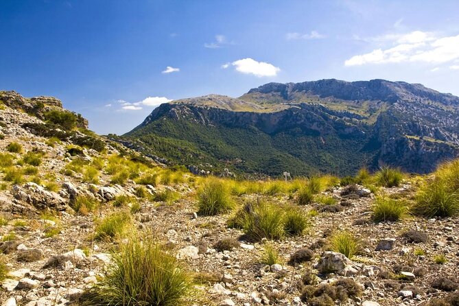 Mallorca in One Day Sightseeing Tour with Boat Ride and Vintage Train - Key Points