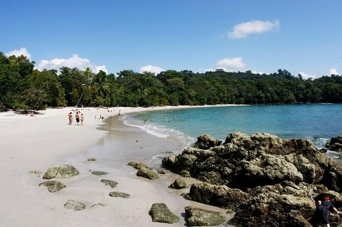 Manuel Antonio Park Tour and its Amazing Wildlife and Beaches - Key Points