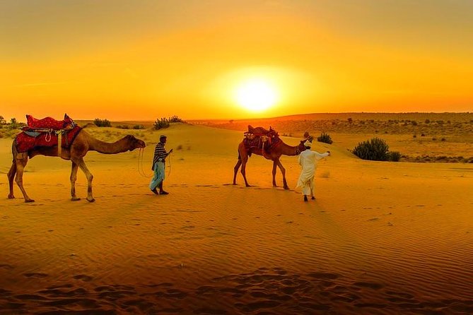 Marrakech Day Trip: Agafay Desert, Atlas Mountains and Camel Ride - Key Points Fast Facts