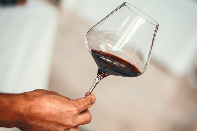Medoc Region Wine Day Trip with Vineyard Visits & Tastings from Bordeaux - A Closer Look at the Tour Itinerary