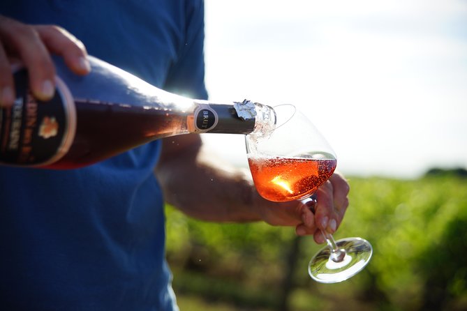 Morning - Loire Valley Wine Tour & Food Pairing, Vouvray - Key Points