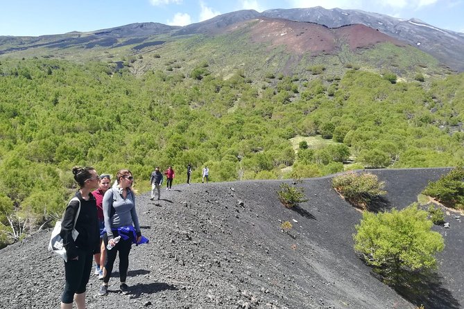 Mount Etna Half-Day Small Group Tour from Taormina - Who Will Love This Tour?