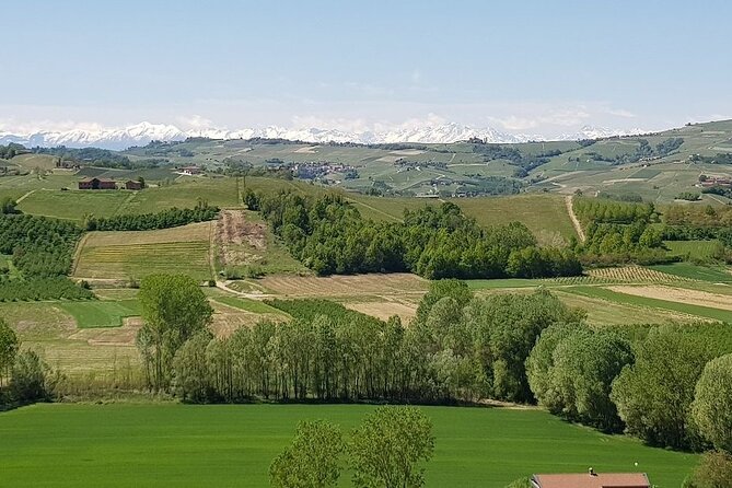 Museo delle Langhe Entrance Ticket - What You Can Expect from the Experience