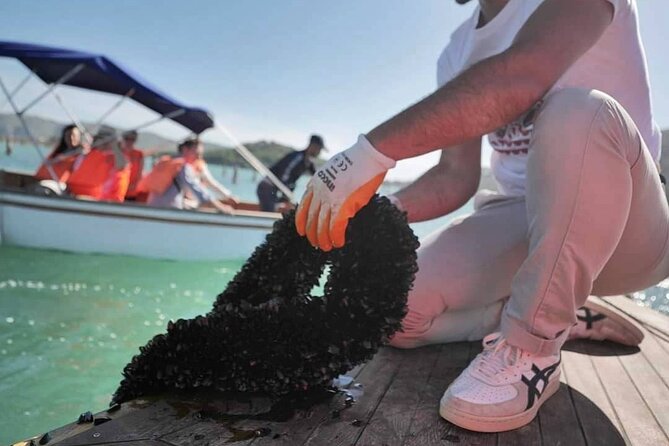 Mussel Sailing Tour with Food and Drink Tasting in Albania - Key Points