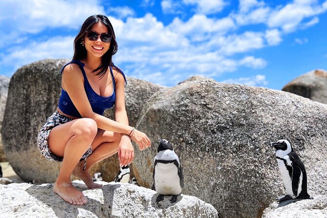 MUST DO: Boulders Beach & Cape Point Full Day Tour #1 Rated - Experience Overview and What You Can Expect