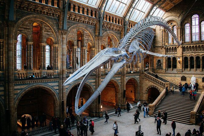 Natural History Museum London - Exclusive Guided Museum Tour - Why Consider a Guided Tour of the Natural History Museum?