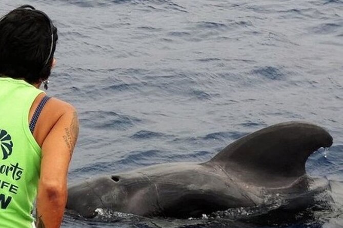 No chase Whale & Dolphin tour putting Marine Life first - we care - Introduction