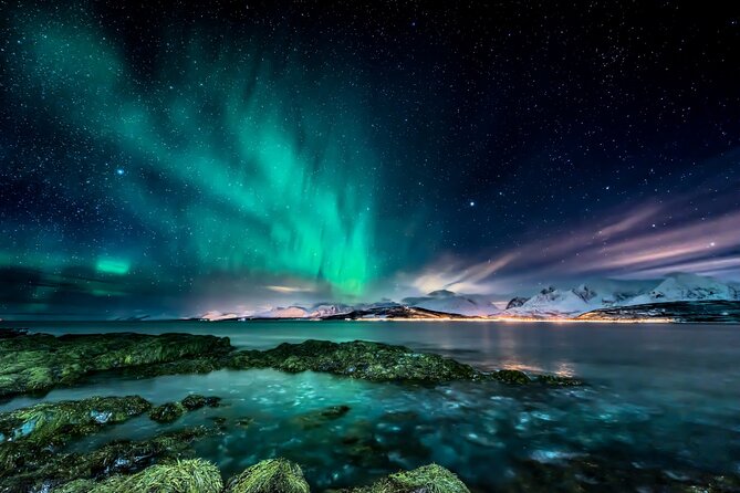 Northern light hunt in Tromsø. WiFi included - Key Points