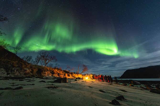 Northern Lights in Focus Tour by Minibus, German/ English, Meal - Introduction