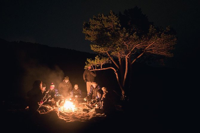 Northern Lights Minibus Chase from Tromso - An Authentic Arctic Adventure in Search of the Aurora