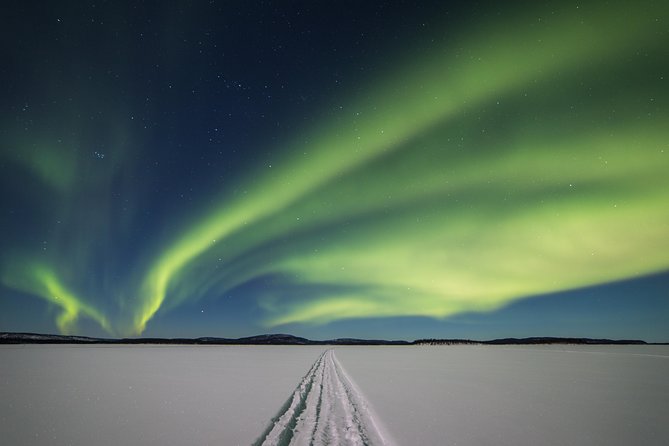 Northern lights tour to Lake Inari from Ivalo, Reindeers & Dinner - Key Points