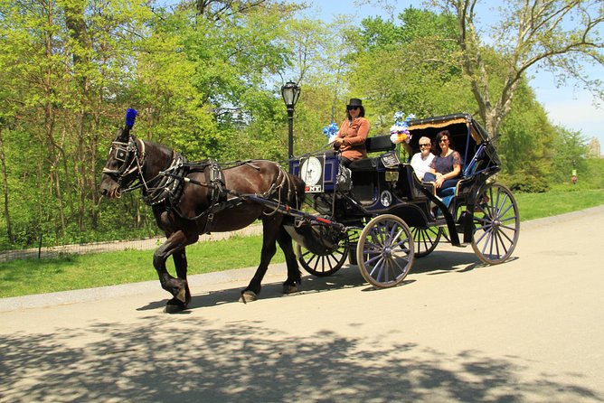 Official NYC Horse Carriage Rides in Central Park since 1979 - Introduction: A Classic NYC Experience That Charms and Delights