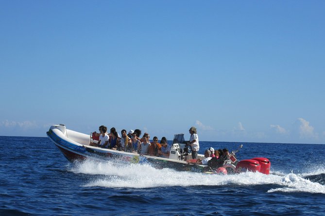 Okikoki Banis - Comino Blue Lagoon Speedboat Trip- Fast Ferry - Introduction