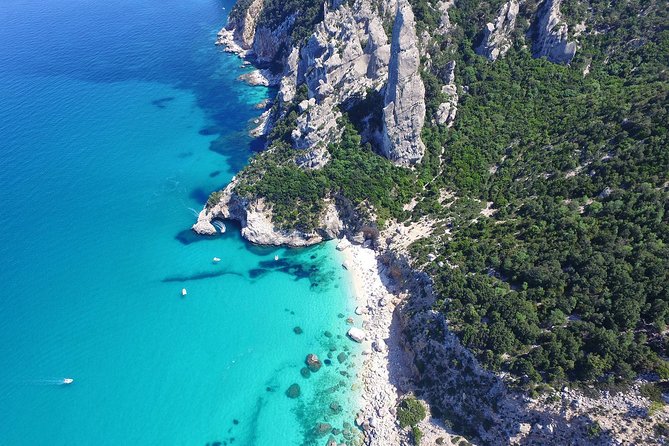 One day guided boat tour along the Baunei coast. - Key Points
