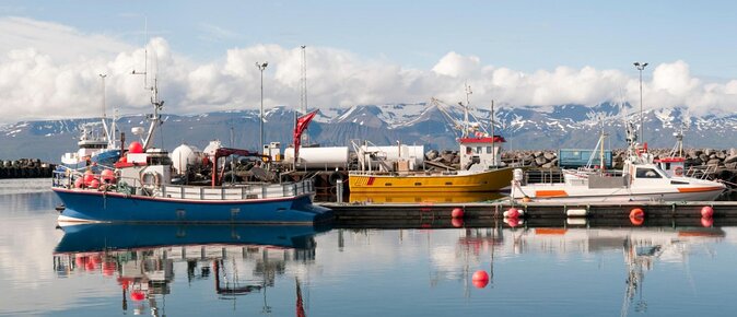 Original Big Whale Safari & Puffins Speedboat Tour from Húsavík - Introduction