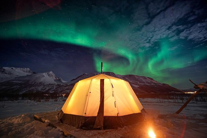 Overnight Stay with Reindeer Sledding & Feeding - Introduction