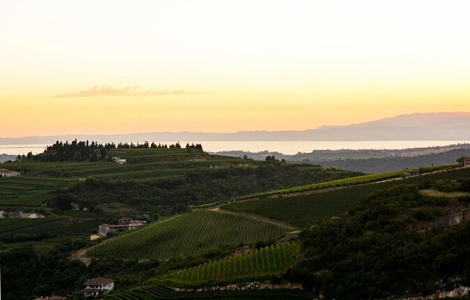 Pagus Wine Tours® - A taste of Amarone - Half day wine tour - A Close Look at Pagus Wine Tours’ “A Taste of Amarone” Half-Day Experience