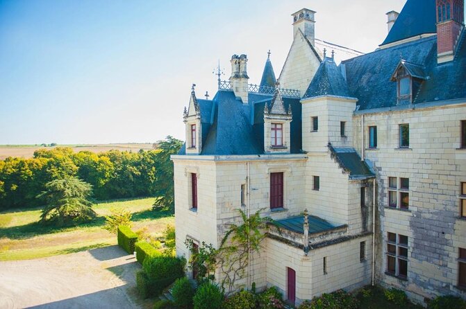 Picnic in the Vines - A Unique Loire Wine Experience - Why This Tour Is Worth Considering