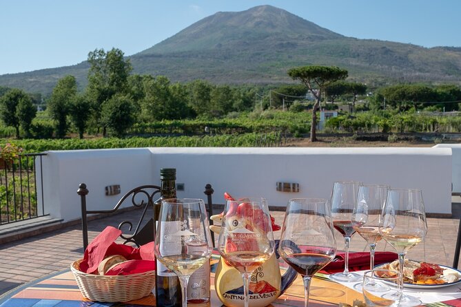 Pompeii Vesuvius Day Tour from Naples with Italian Lunch and Wine - What the Tour Offers