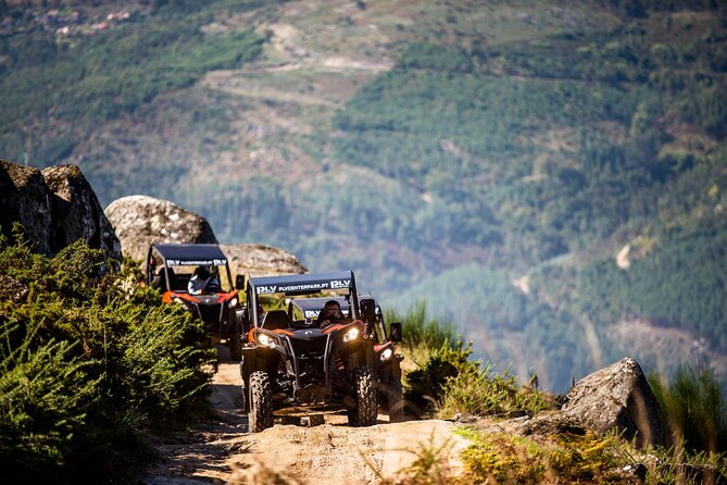 Ponte de Lima Guided Buggy Tour - Key Points