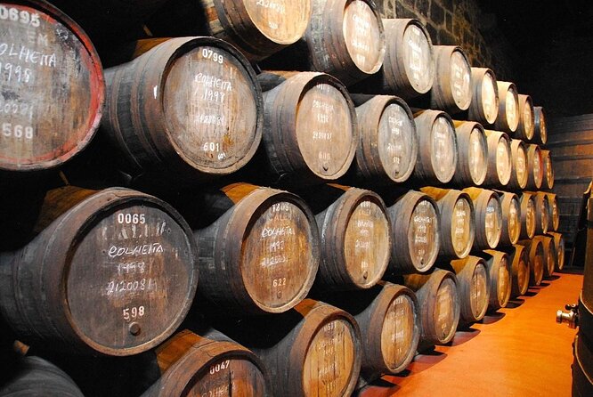 Porto: Cálem Cellar Tour, Live Fado Show and Wine Tasting - Introduction