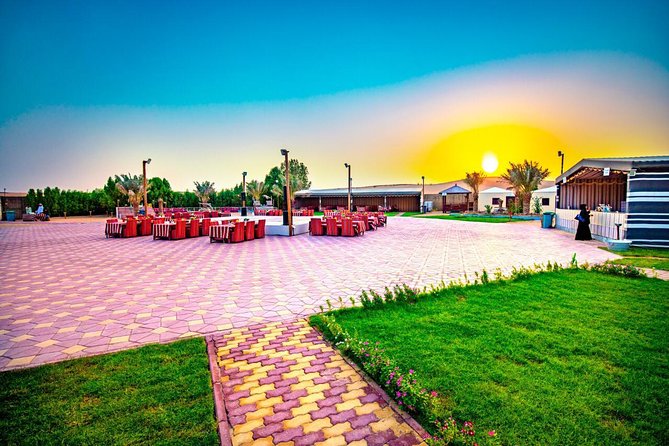 Premium Desert Safari Sharing Transfer with 5* Unlimited Buffet - Key Points