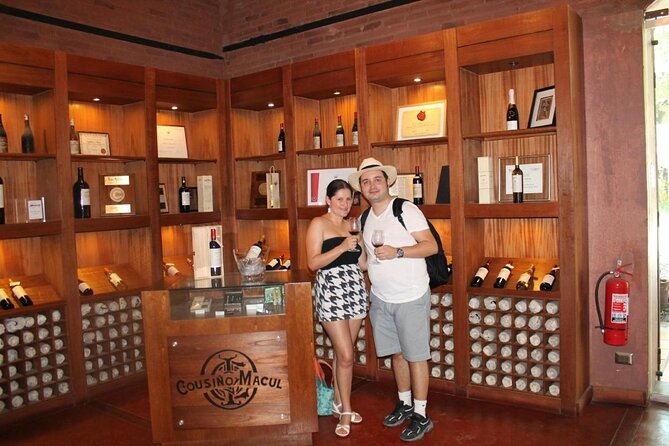 Premium Wine Tour in Viña Cousiño Macul Spanish official - Key Points