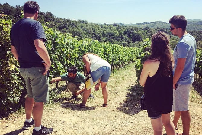 Private Chianti wine tour - Key Points