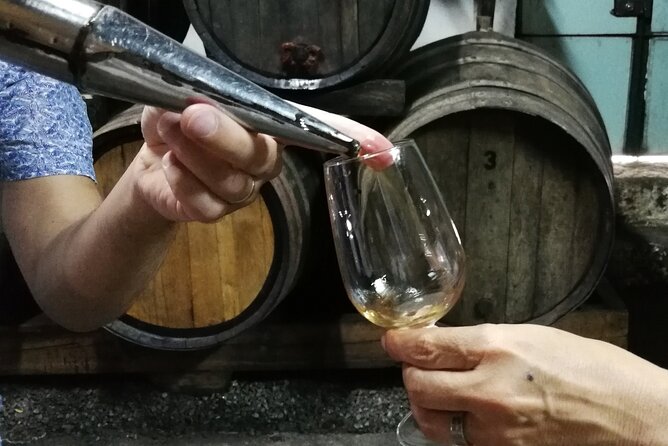 Private Douro Valley Wine Tour - An Introduction to the Tour Experience
