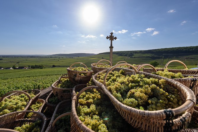 Private excursion to Côte de Beaune and Côte de Nuits (full day) - An Honest Breakdown of the Burgundy Wine Tour