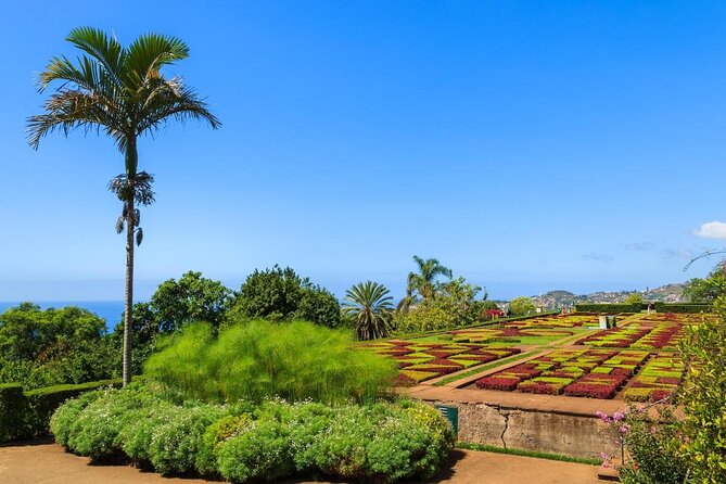 Private Half day tour around Madeira Island - Key Points