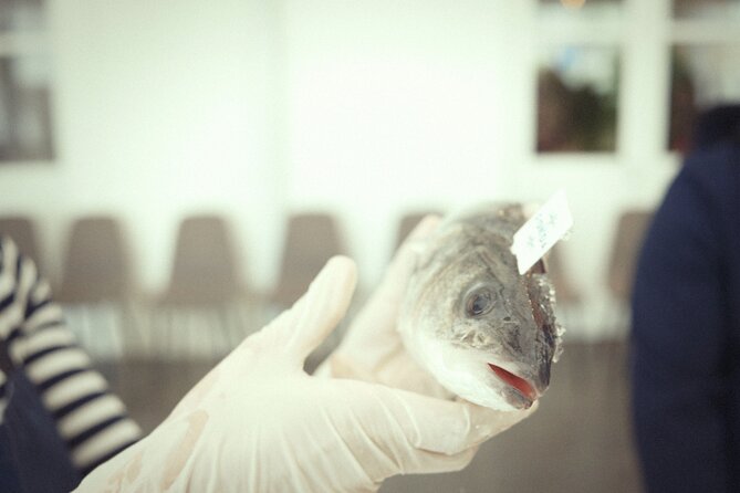 Private Mediterranean Fish Cooking Workshop with Irena - What Makes This Experience Stand Out