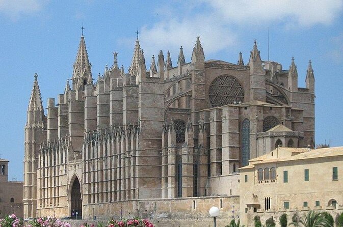 Private sailing with Paella and Tapas in Palma - Key Points