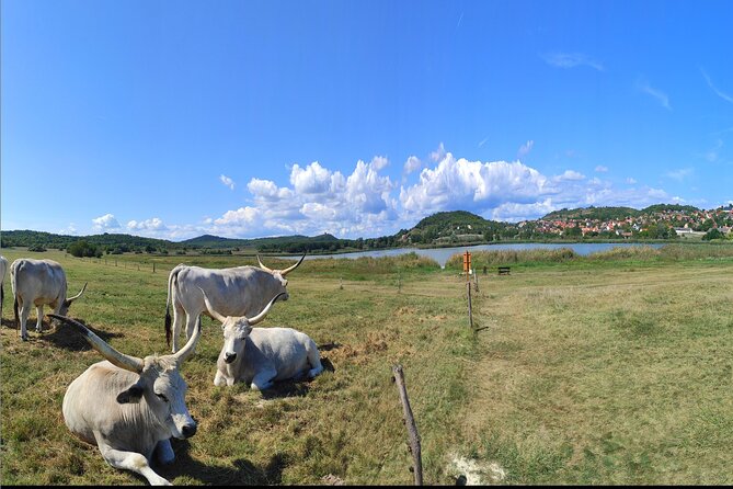 Private tour from Budapest to a top hidden treasure region of Europe: Lake Balaton - Key Points